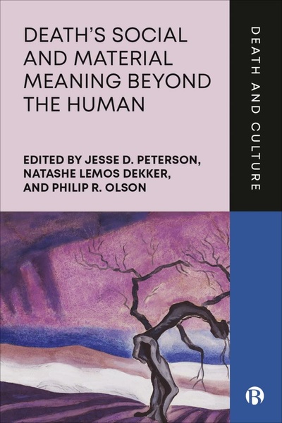Exciting NEW PUBLICATION: Death’s Social and Material Meaning Beyond ...